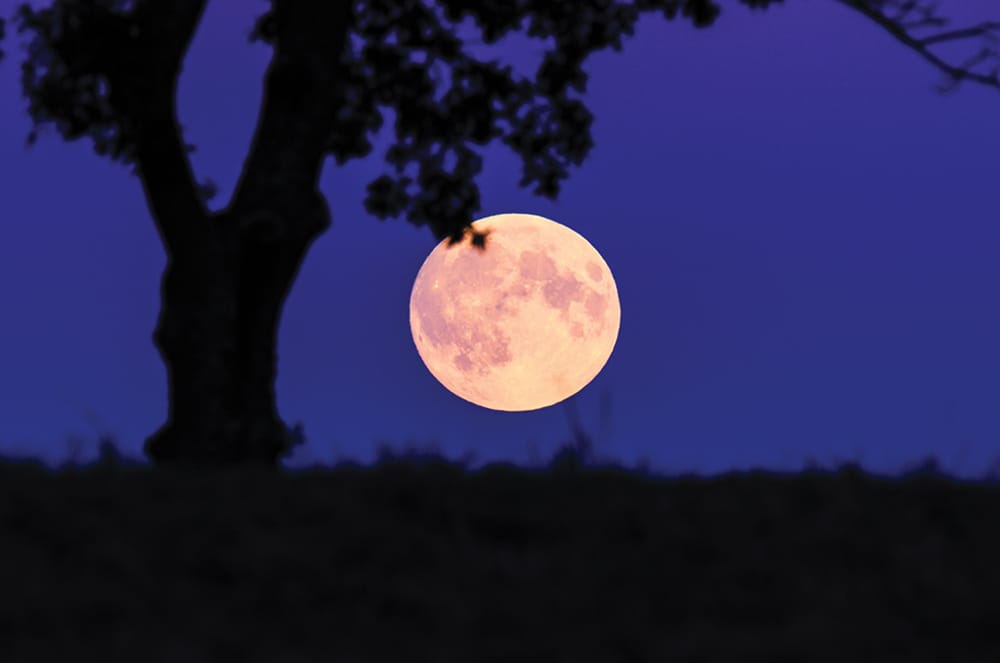 Look for a super ‘pink’ moon tonight - The Iola Register