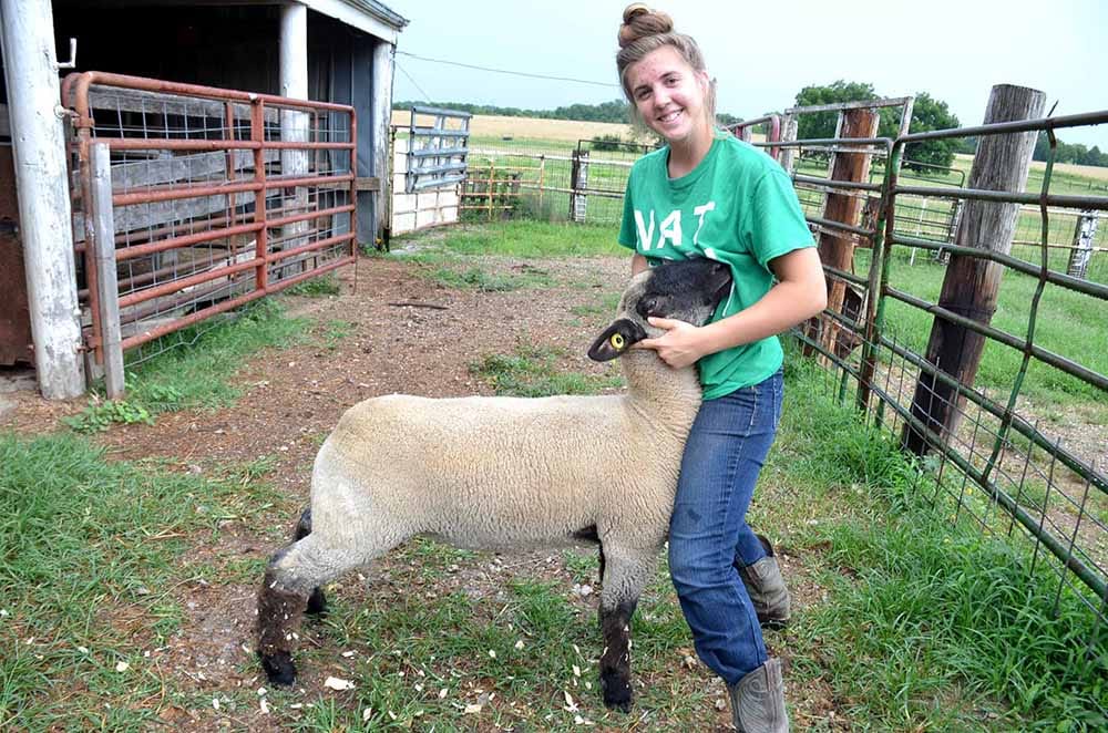 Showing sheep, sowing life lessons - The Iola Register