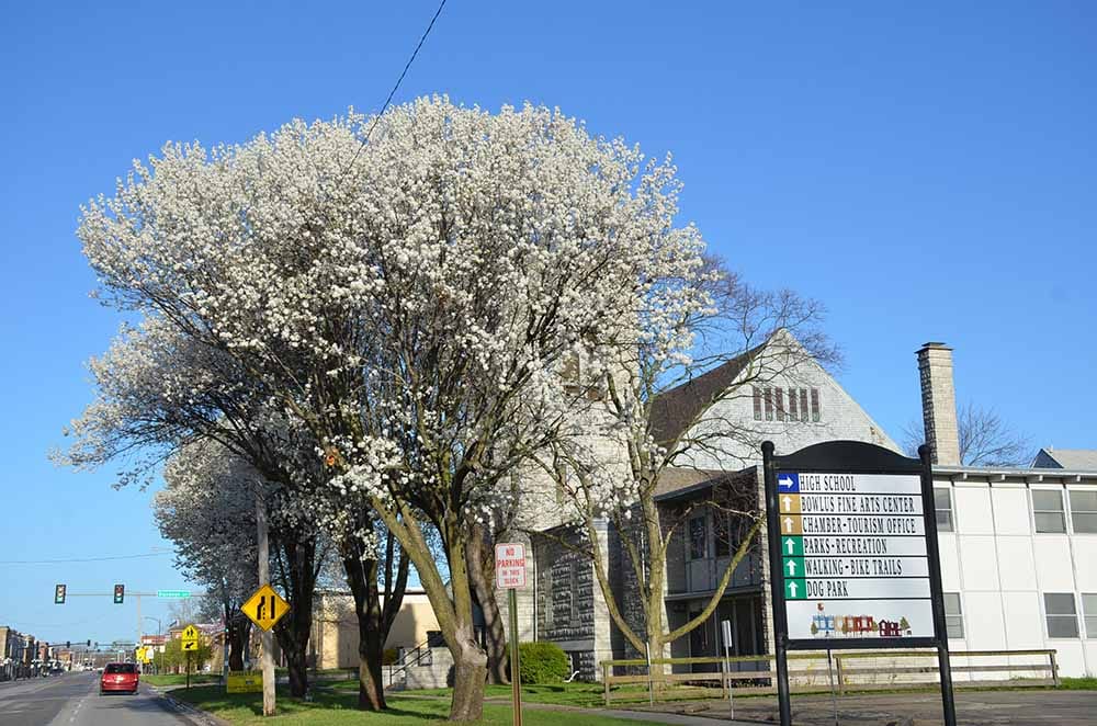 Pretty but problematic - The Iola Register