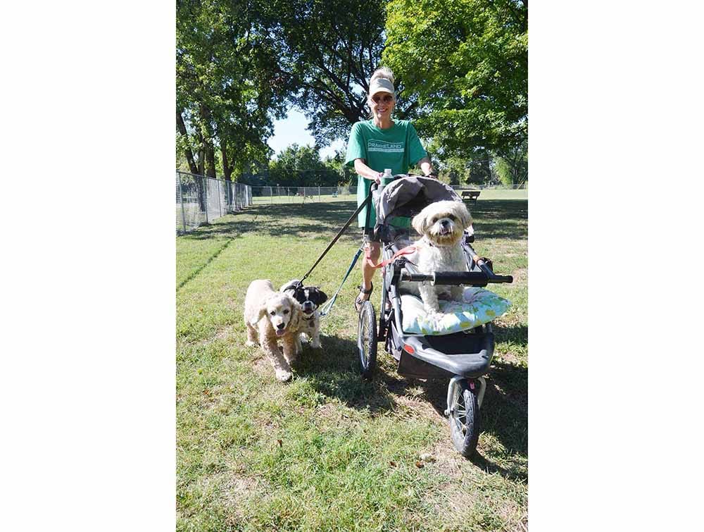 Ruff rider - The Iola Register