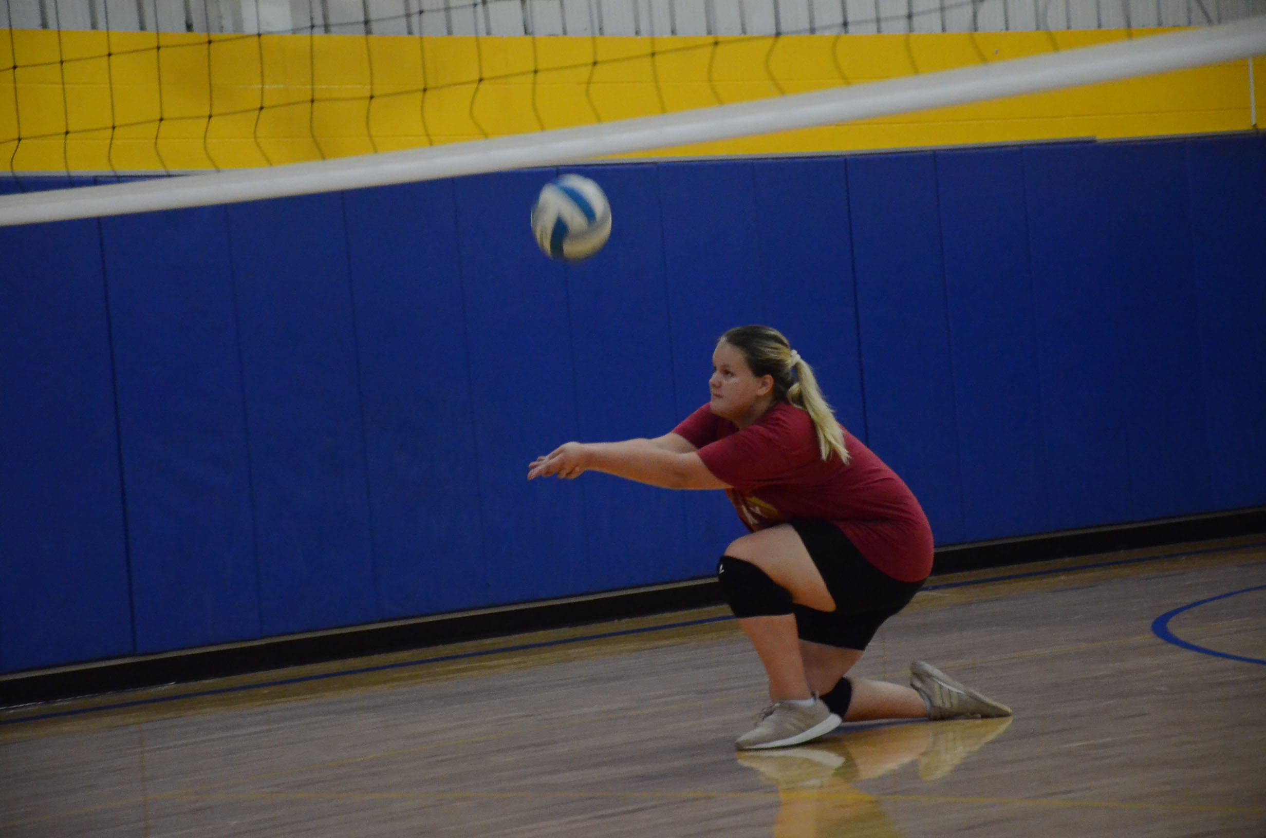 SCC wins big - The Iola Register