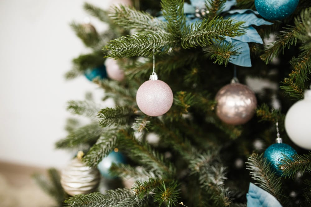 So you want a live Christmas tree? Here are tips for selection and care ...