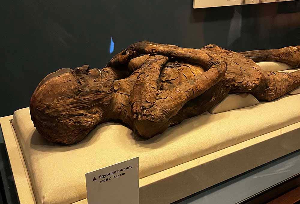 How to make a mummy - The Iola Register