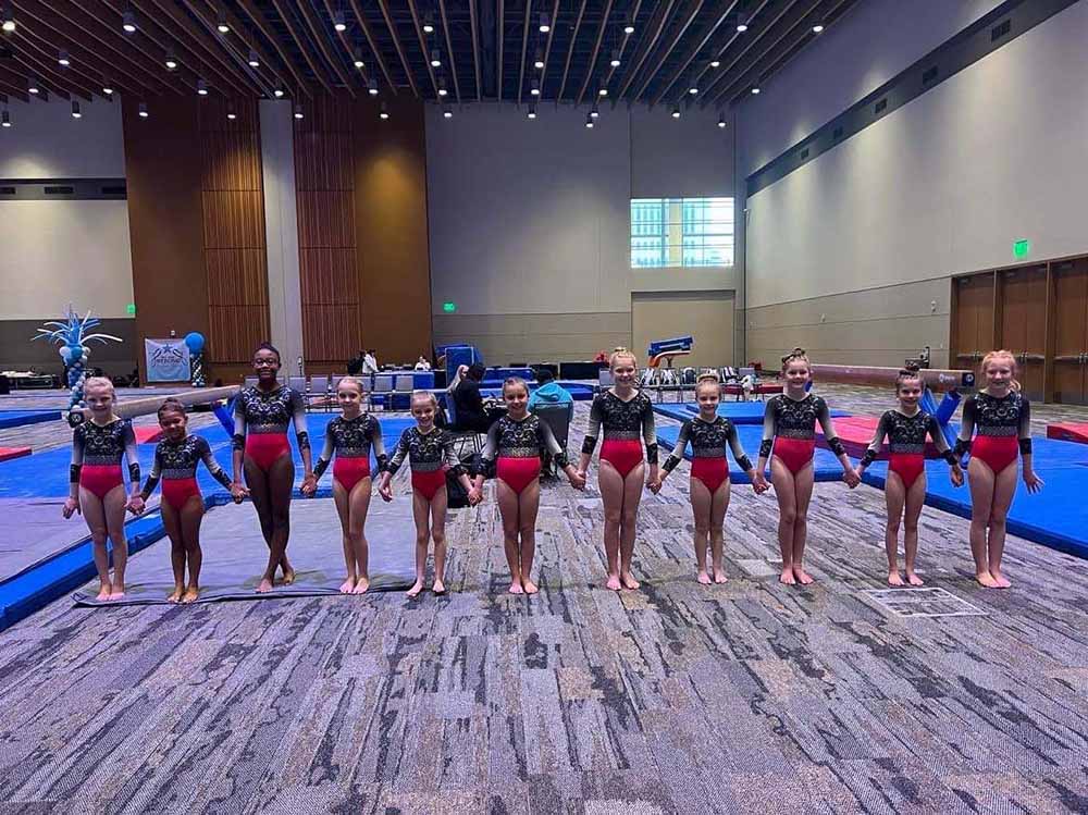 Gymnastics studio moving to Iola - The Iola Register