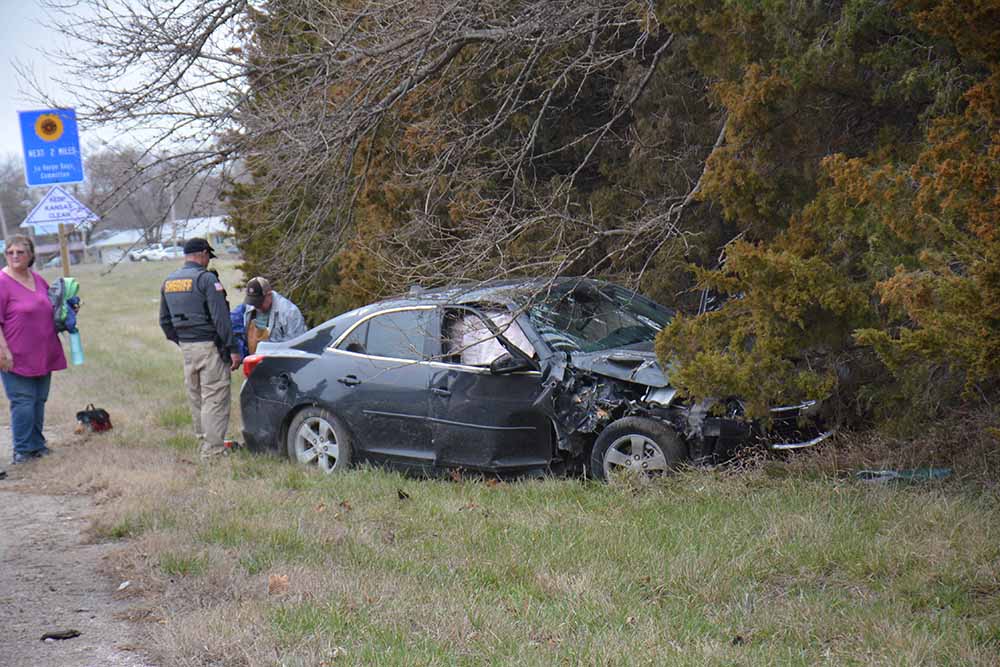Car-deer accidents on the rise - The Iola Register