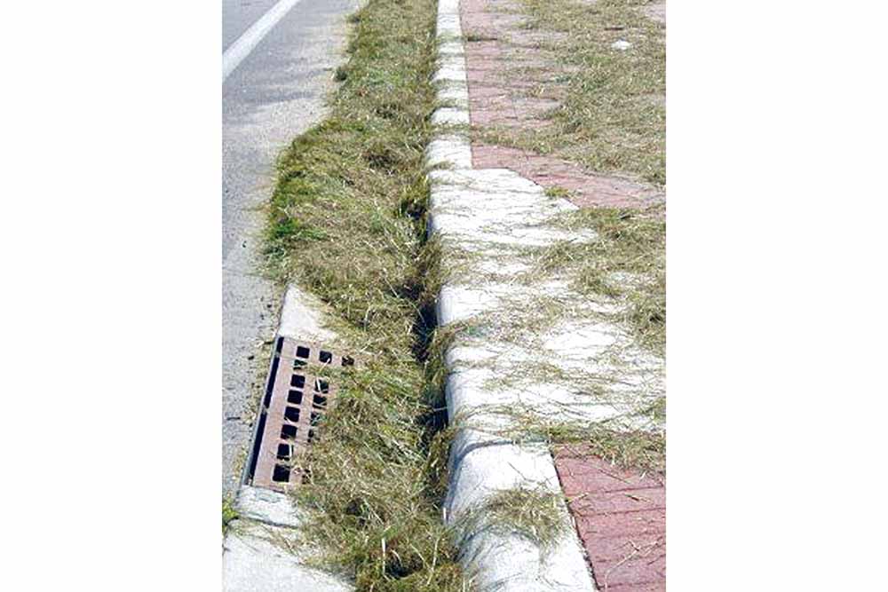 Iola cracks down on lawn clippings - The Iola Register