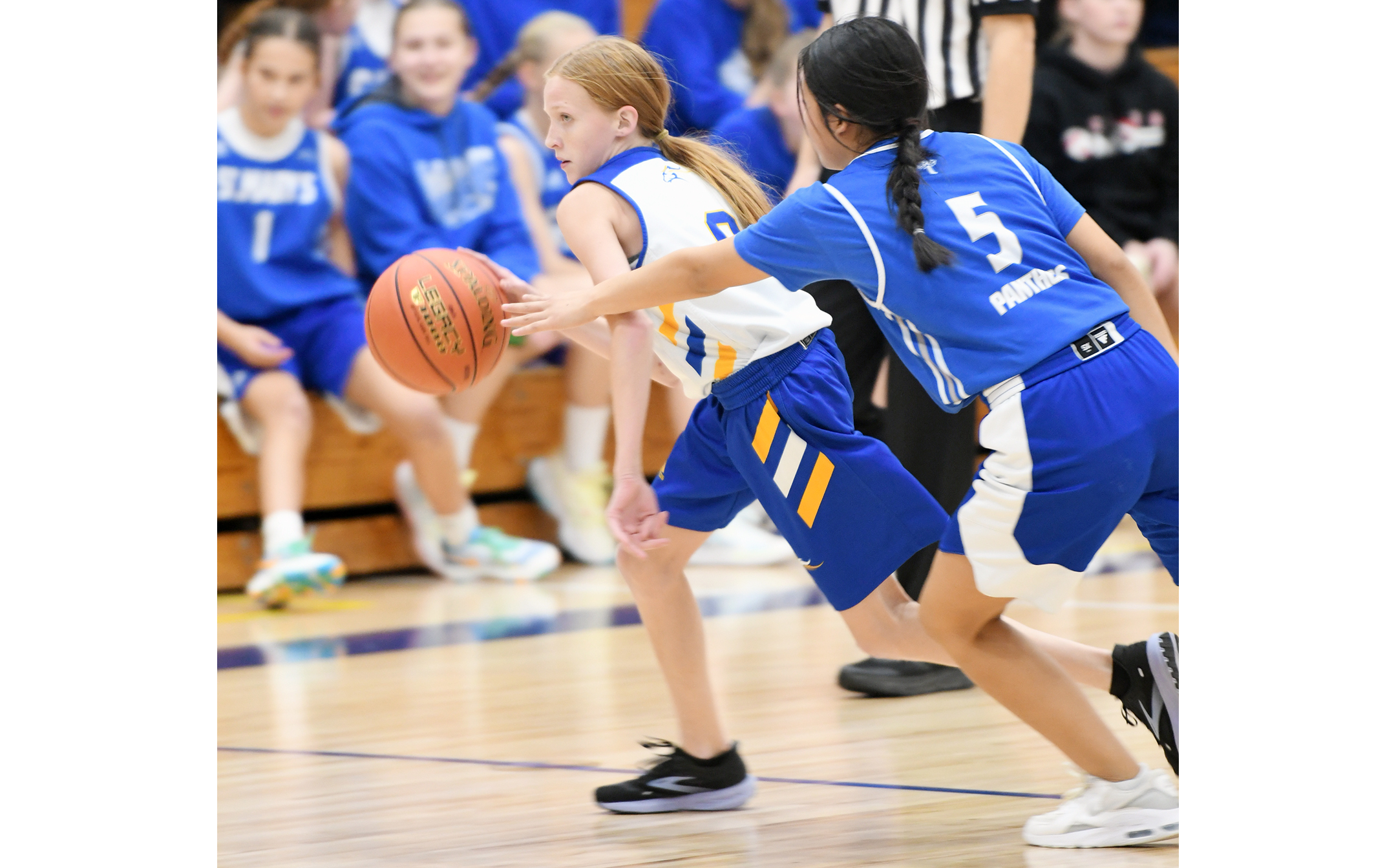 IMS girls tangle with Colgan - The Iola Register