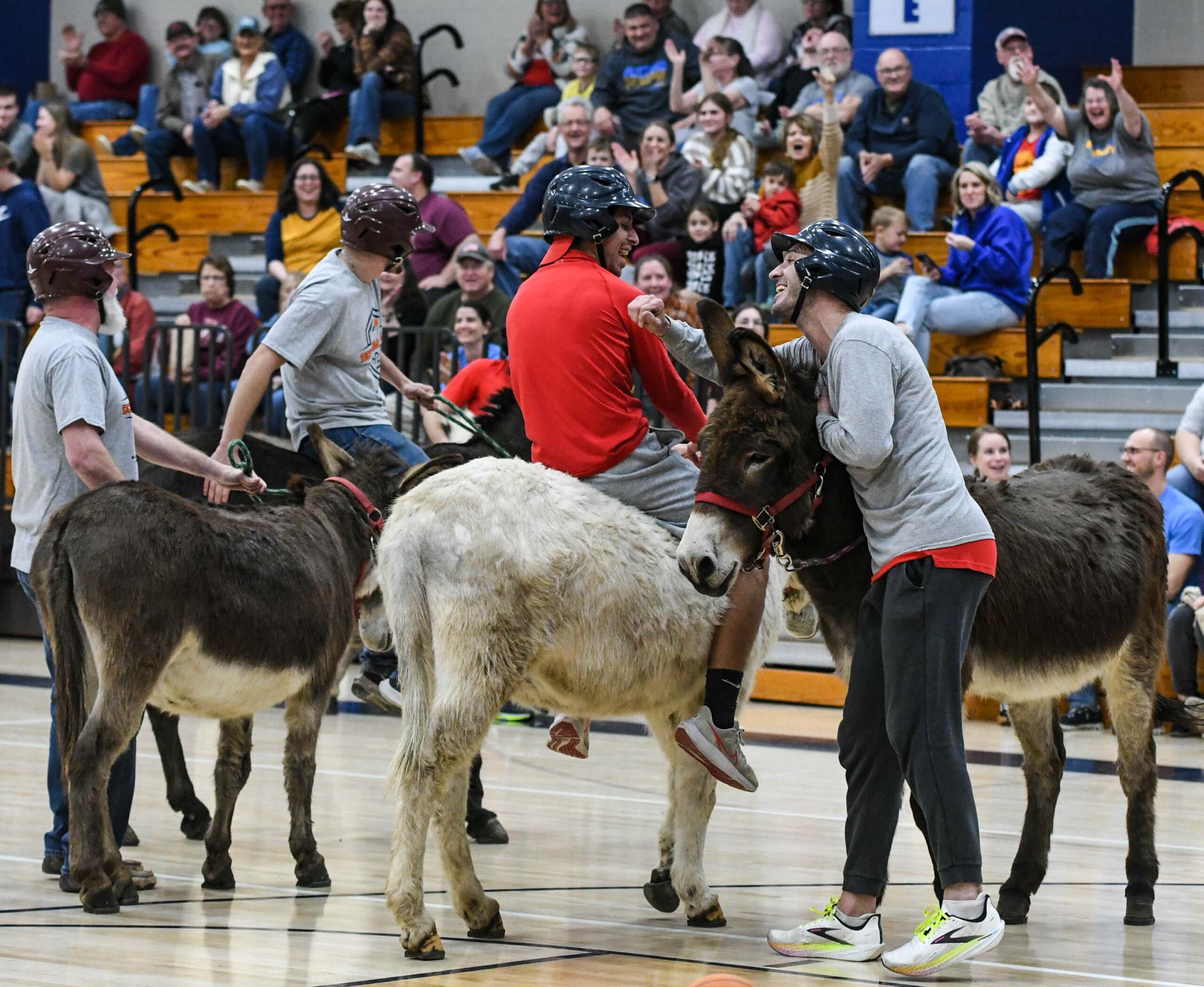 Donkey Basketball 2024 - The Iola Register