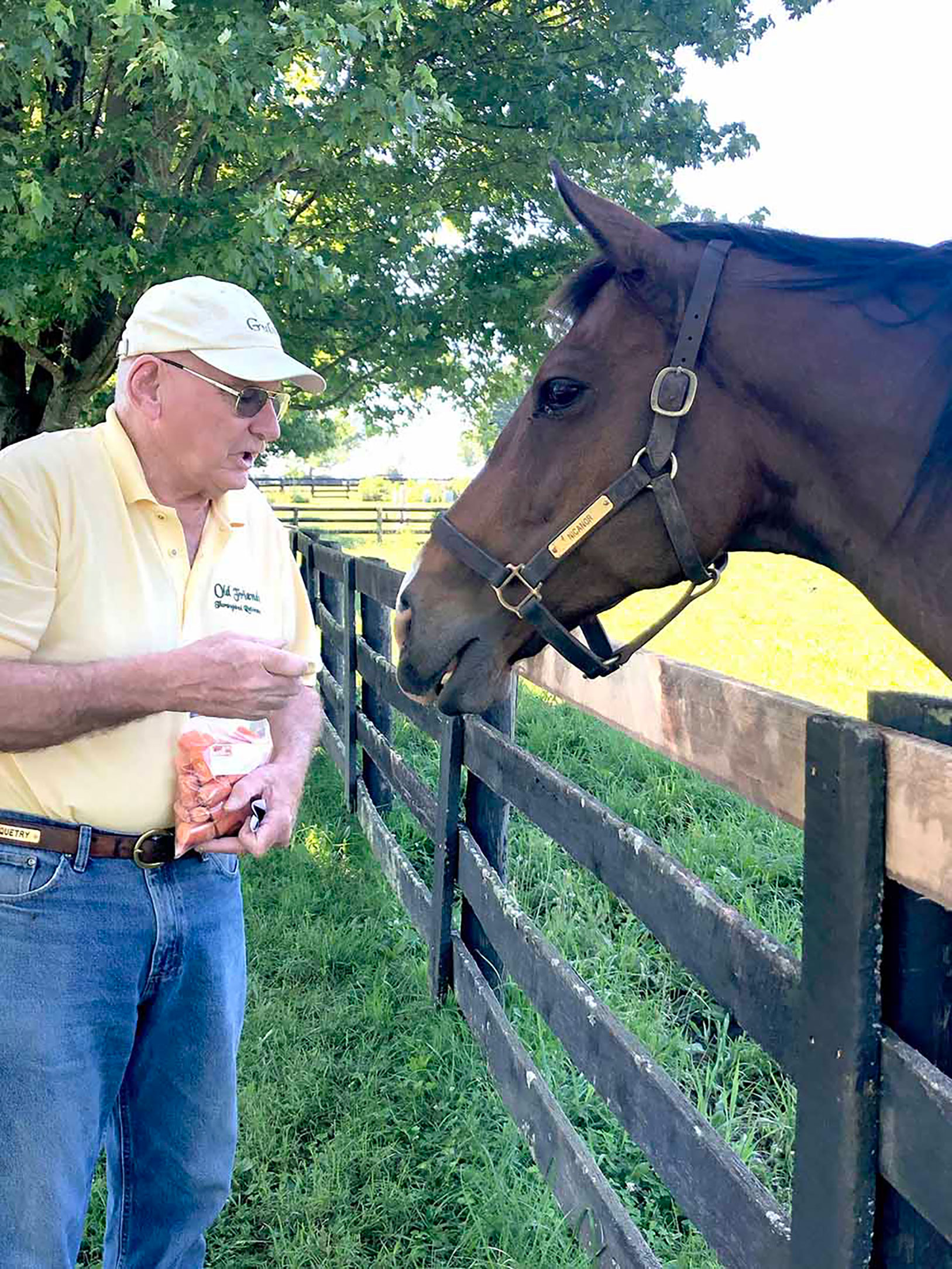 Founder of retirement thoroughbred farm in Kentucky is handing over the ...