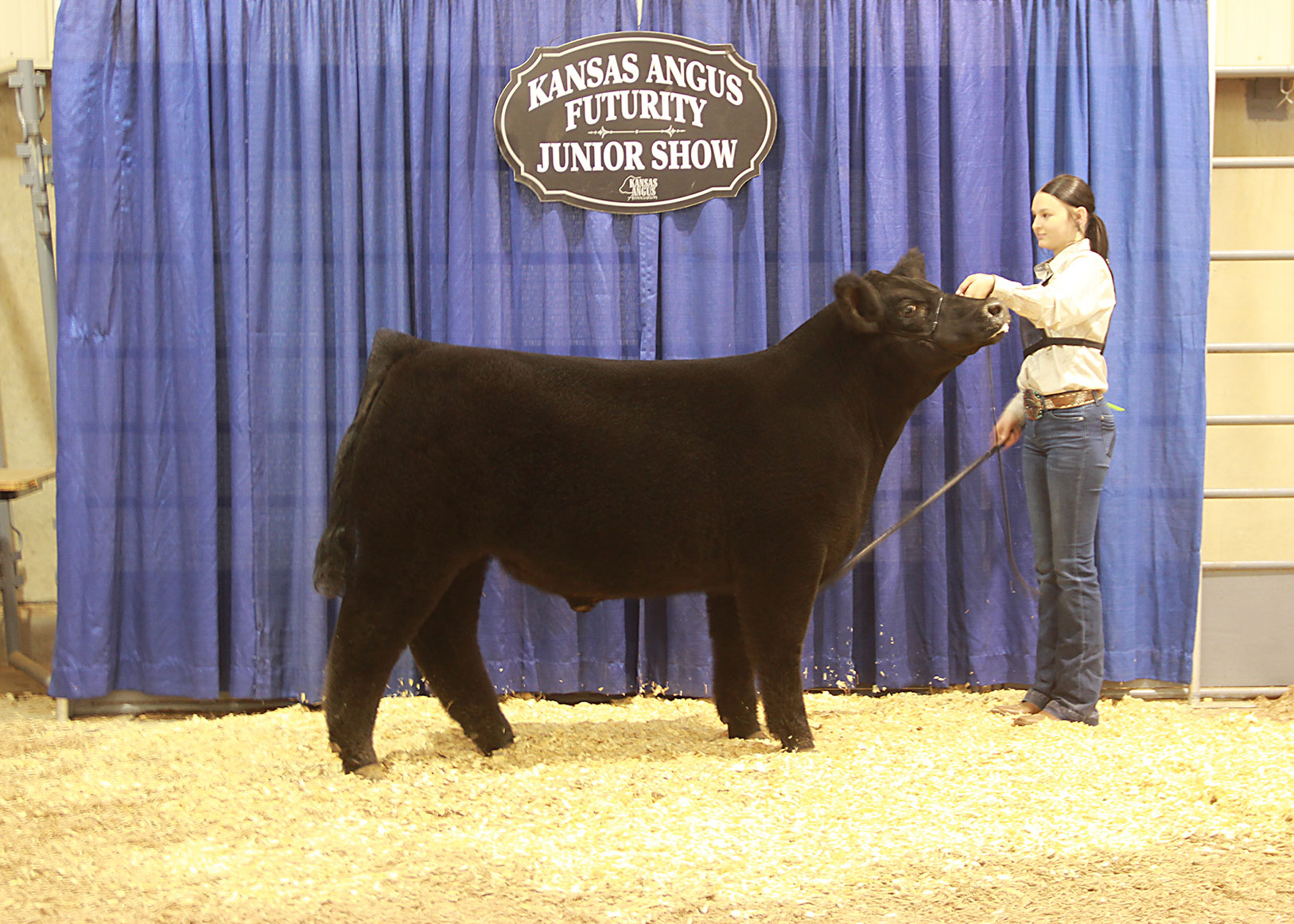 Lewis a grand champion - The Iola Register