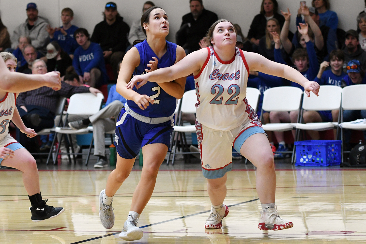 Lady Lancers secure league title - The Iola Register