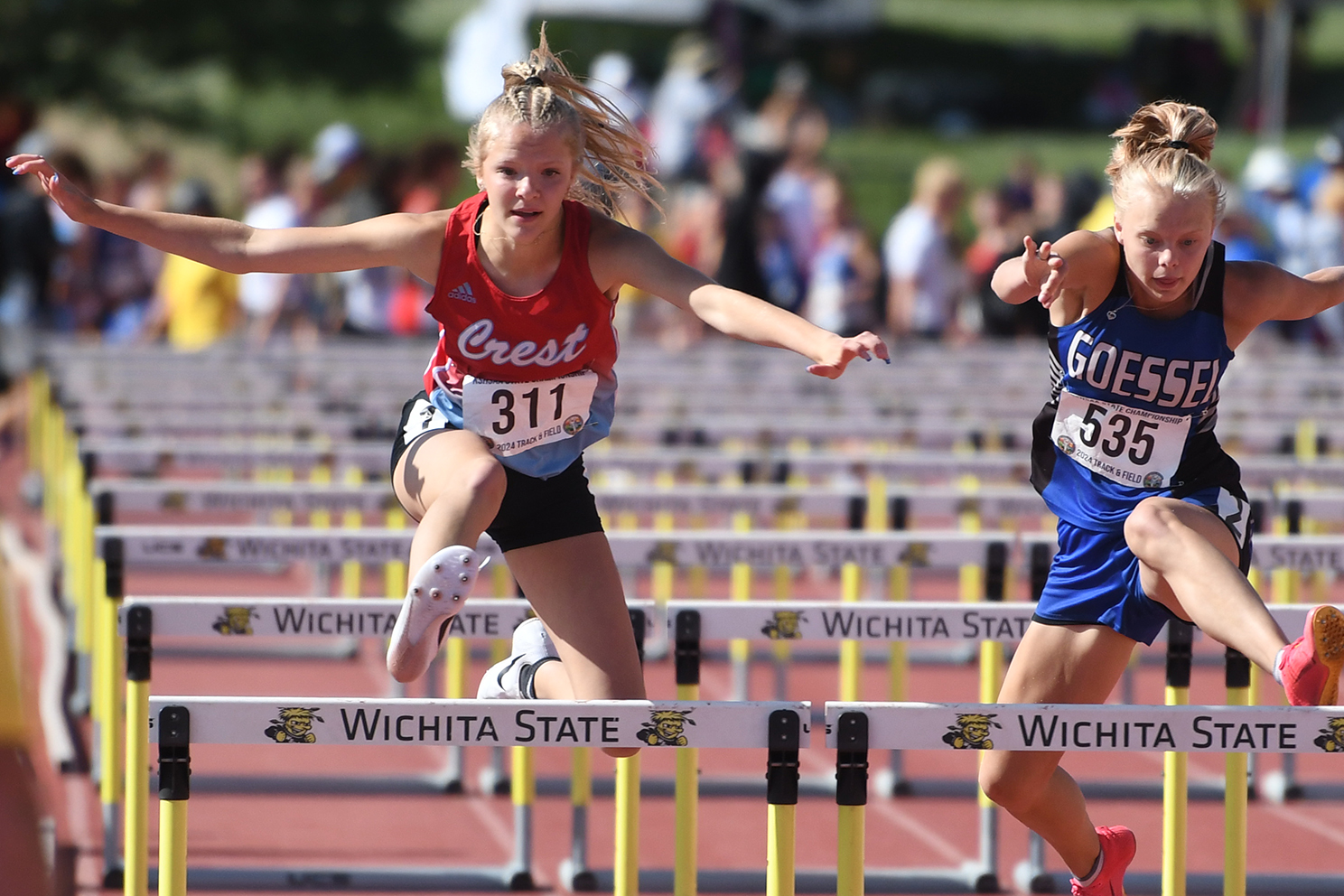 Schmidt hurdles past opponents - The Iola Register