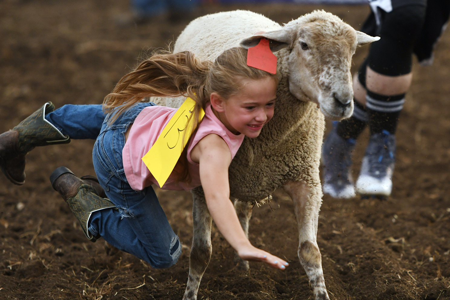 Rough riding - The Iola Register