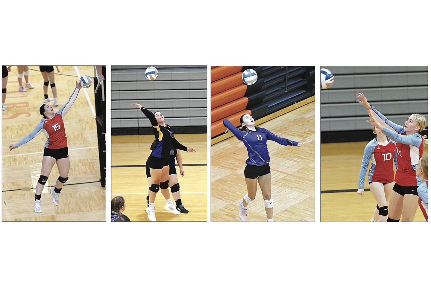 Three cheers for Three Rivers League volleyball honorees - The Iola ...