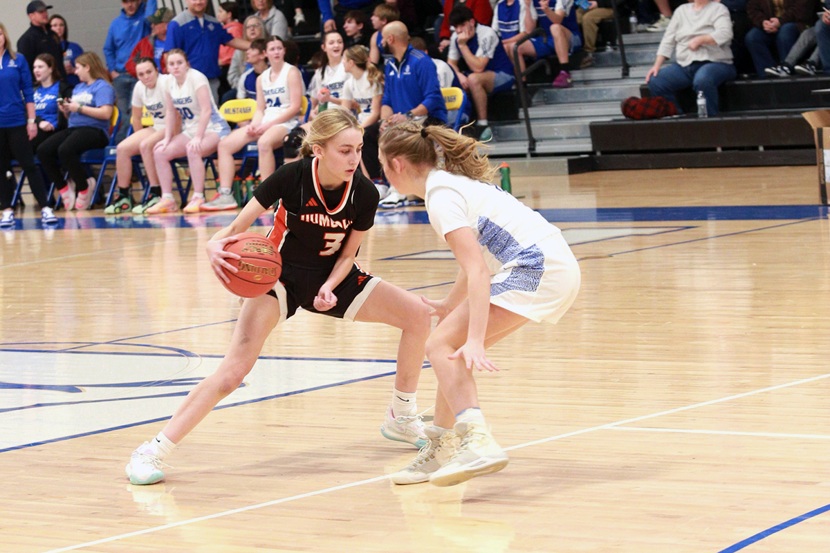 Lady Cubs defeat Anderson County - The Iola Register