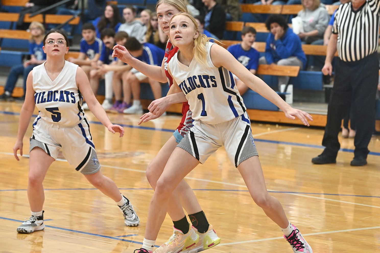 Wildcat teams bow out - The Iola Register